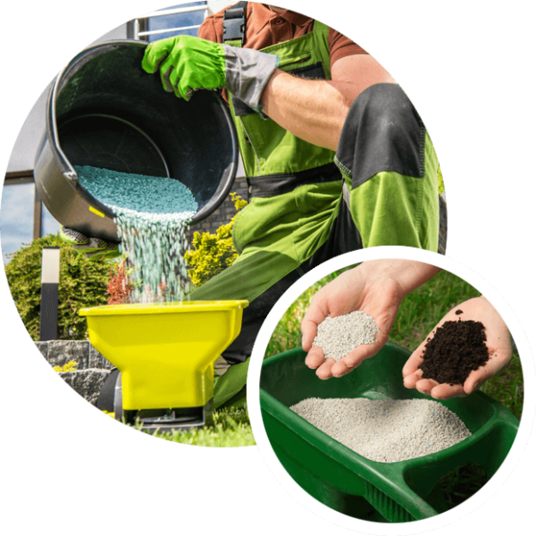 The Guide: Best Time to Fertilise Lawn in East York, Toronto